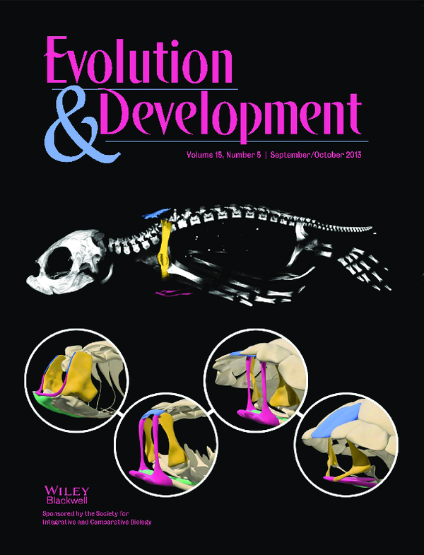 (PDF) Homology of the enigmatic nuchal bone reveals novel ...