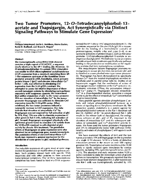 Two tumor promoters, 12-O-tetradecanoylphorbol-13-acetate and ...