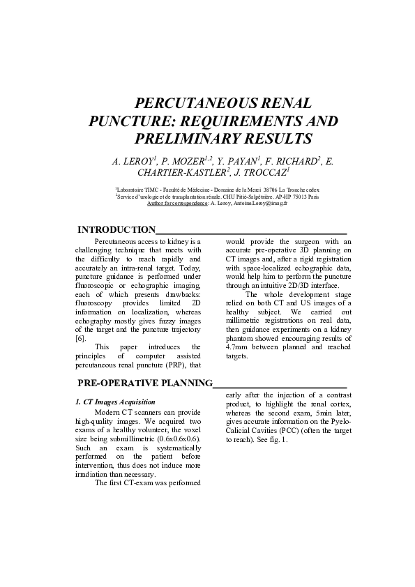 (PDF) Percutaneous renal puncture: requirements and preliminary results