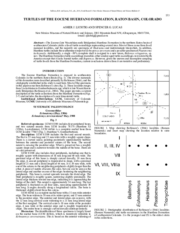 (PDF) TURTLES OF THE EOCENE HUERFANO FORMATION, RATON BASIN, COLORADO