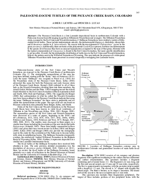 (PDF) PALEOCENE-EOCENE TURTLES OF THE PICEANCE CREEK BASIN, COLORADO
