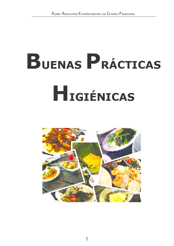 (PDF) BUENAS PRÁCTICAS HIGIÉNICAS