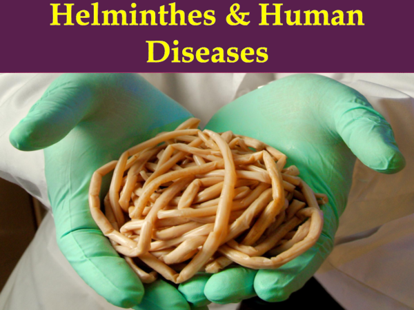 (PDF) Helminthes and Diseases