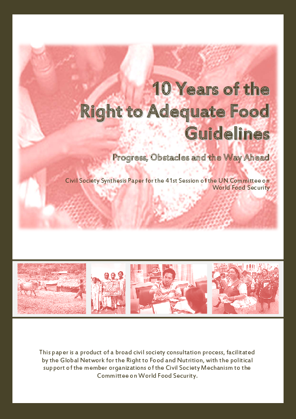 (PDF) 10 Years of the Right to Adequate Food Guidelines: Progress ...