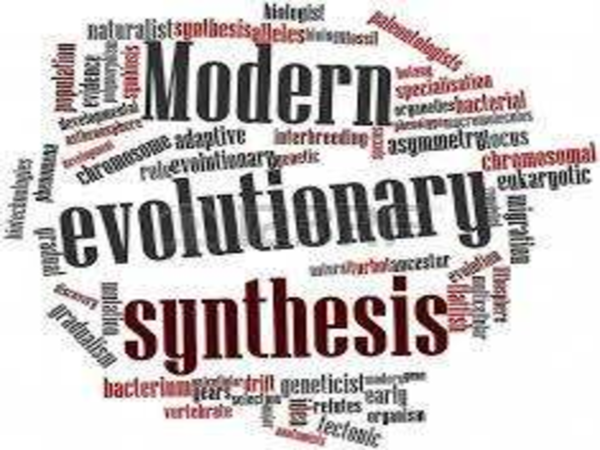 (PDF) Modern Evolutionary Synthesis