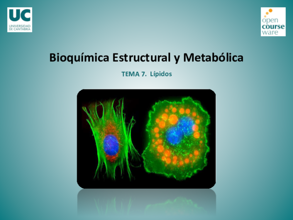 (PDF) Bioquímica Estructural y Metabólica. Primer Grado de Medicina. Tema 7. Lípidos