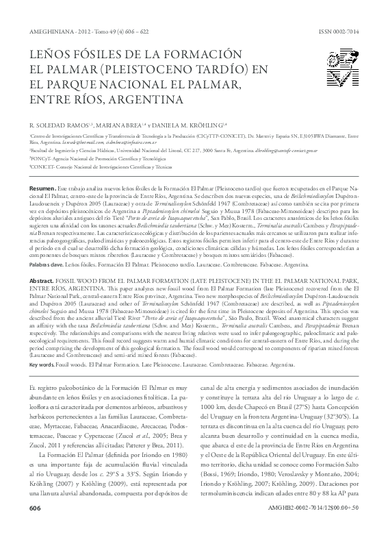 (PDF) FOSSIL WOOD FROM EL PALMAR FORMATION (LATE PLEISTOCENE) IN THE EL ...