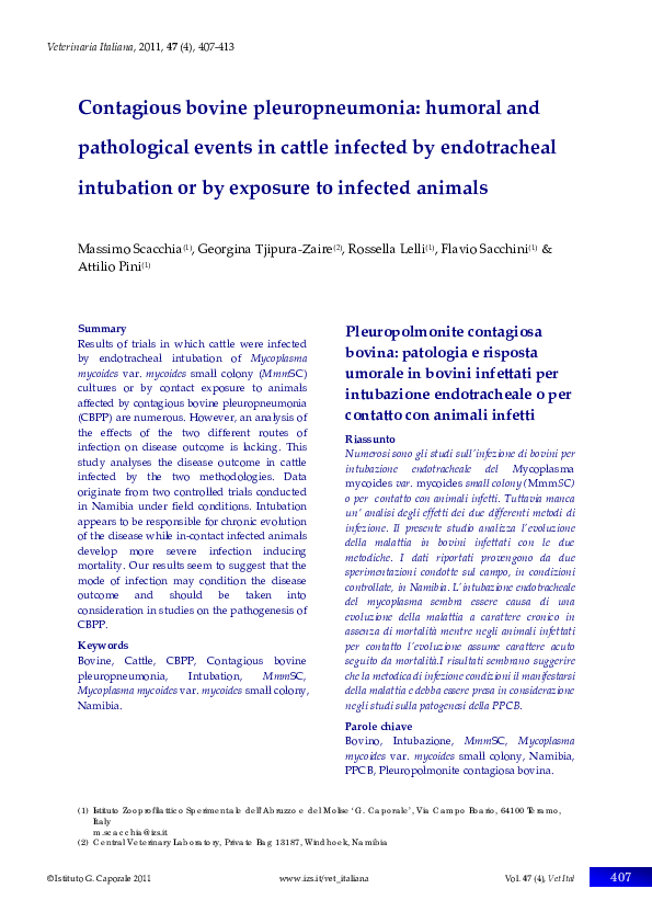 (PDF) Contagious bovine pleuropneumonia: humoral and pathological ...