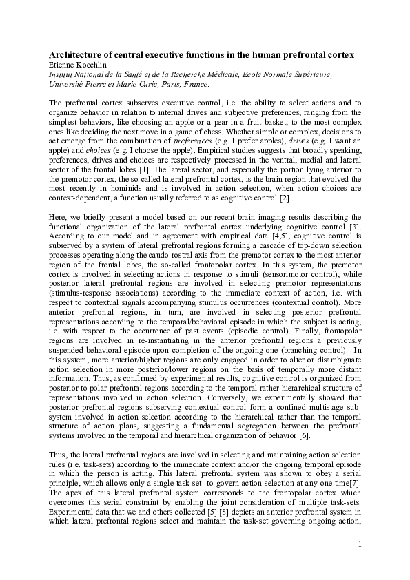 (PDF) Architecture of central executive functions in the human ...