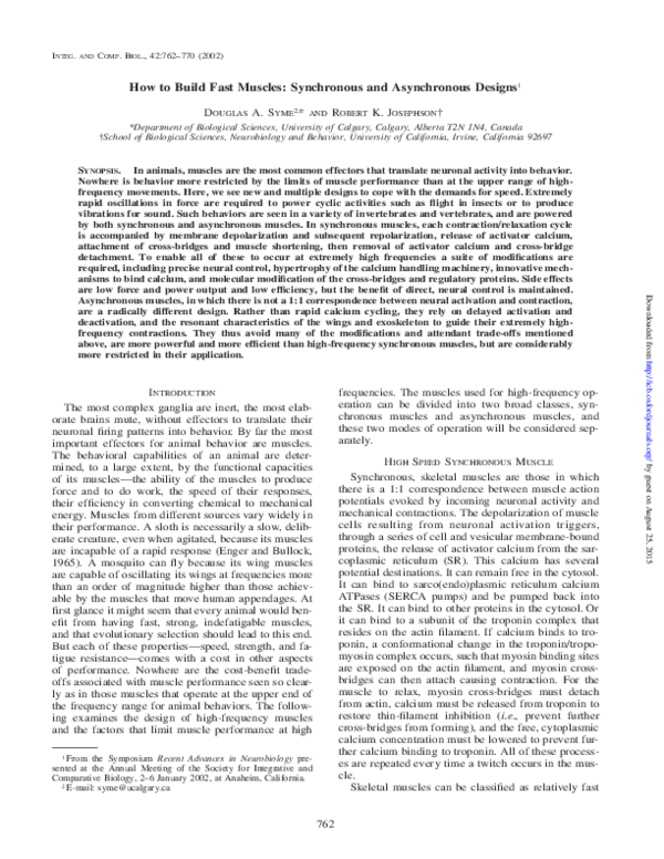 (PDF) How to Build Fast Muscles: Synchronous and Asynchronous Designs1 ...