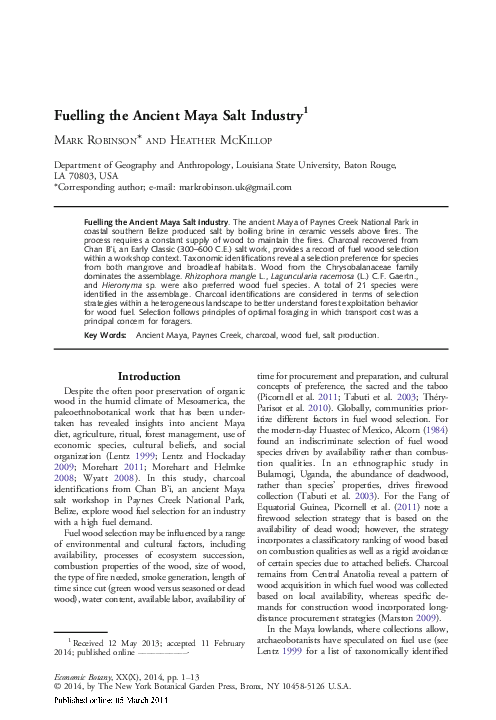 (PDF) Fuelling the Ancient Maya Salt Industry