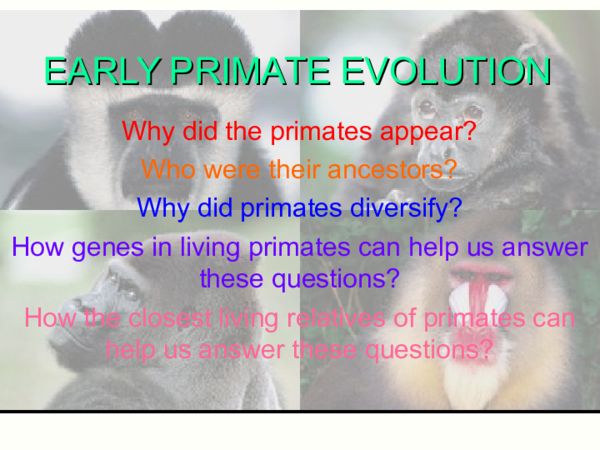 (PPT) Lecture on Early Primate Evolution