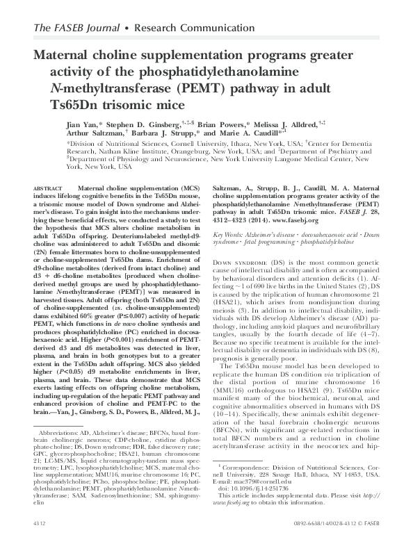 (PDF) Maternal choline supplementation programs greater activity of the ...