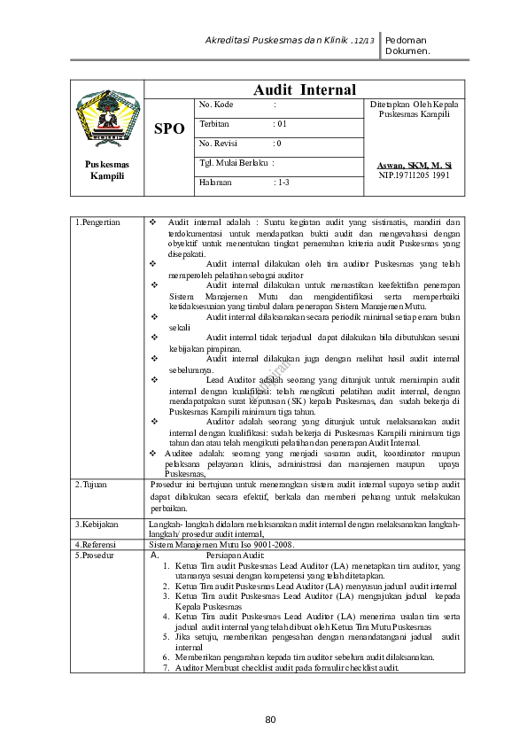 (DOC) SPO Audit Internal