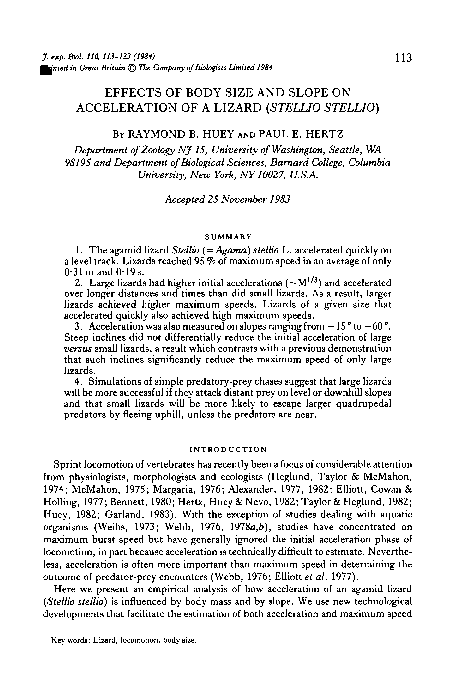 (PDF) Body Size and Slope Effects on Lizard Acceleration
