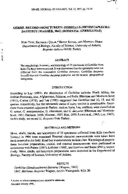 (PDF) Gerbil record from Turkey: Gerbillus (Hendecapleura) dasyurus ...