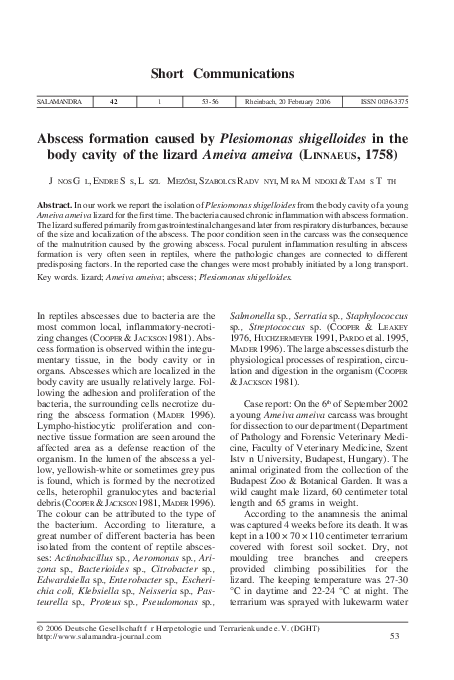 (PDF) Abscess formation caused by Plesiomonas shigelloides in the body ...