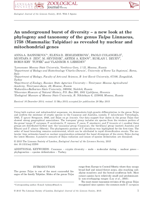 (PDF) An underground burst of diversity – a new look at the phylogeny ...