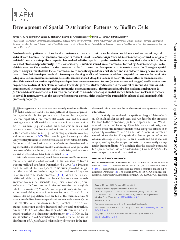 (PDF) Development of Spatial Distribution Patterns by Biofilm Cells