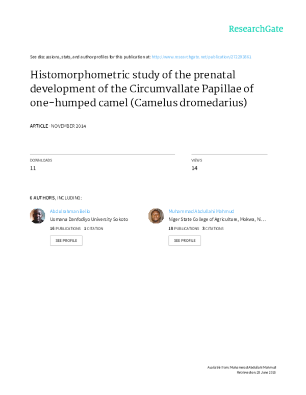 (PDF) Prenatal development of the lenticular papillae of one-humped ...
