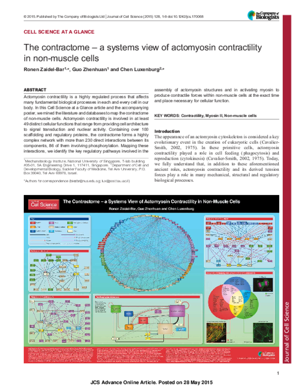 (PDF) The contractome – a systems view of actomyosin contractility in ...