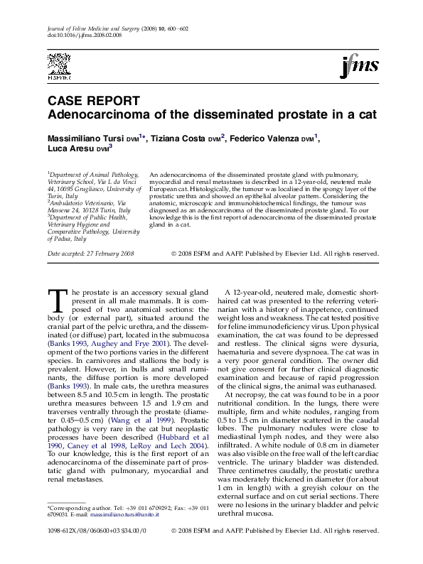 (PDF) Adenocarcinoma of the disseminated prostate in a cat