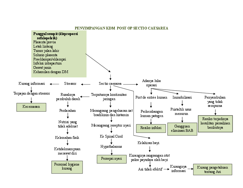(DOC) PENYIMPANGAN KDM POST OP SECTIO CAESAREA