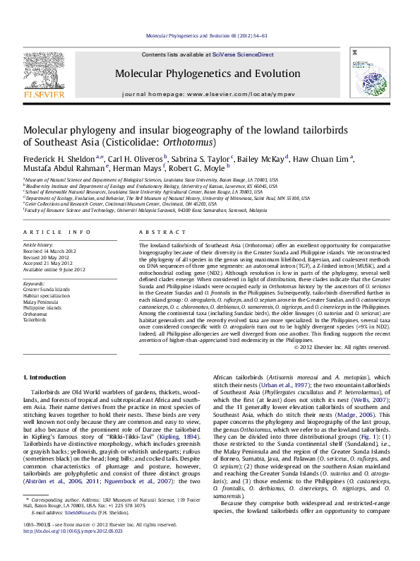 (PDF) Molecular phylogeny and insular biogeography of the lowland ...
