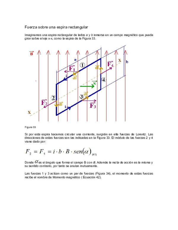 (DOC) Fuerza sobre una espira rectangular