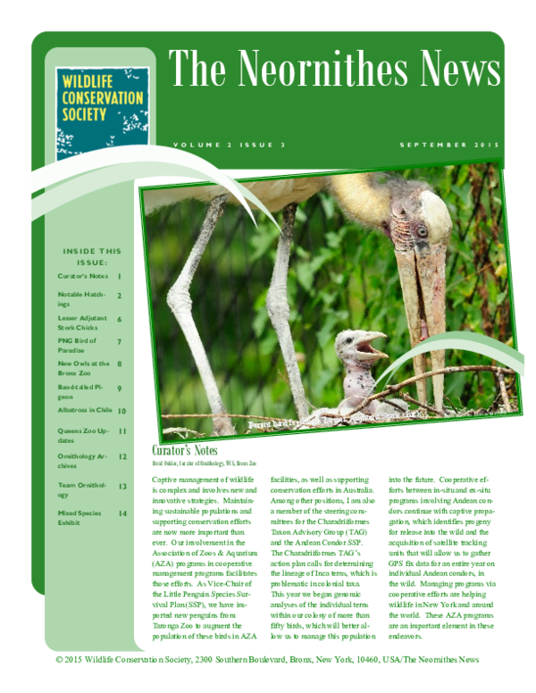 (PDF) Neornithes News: Volume 2 Issue 3, September 2015