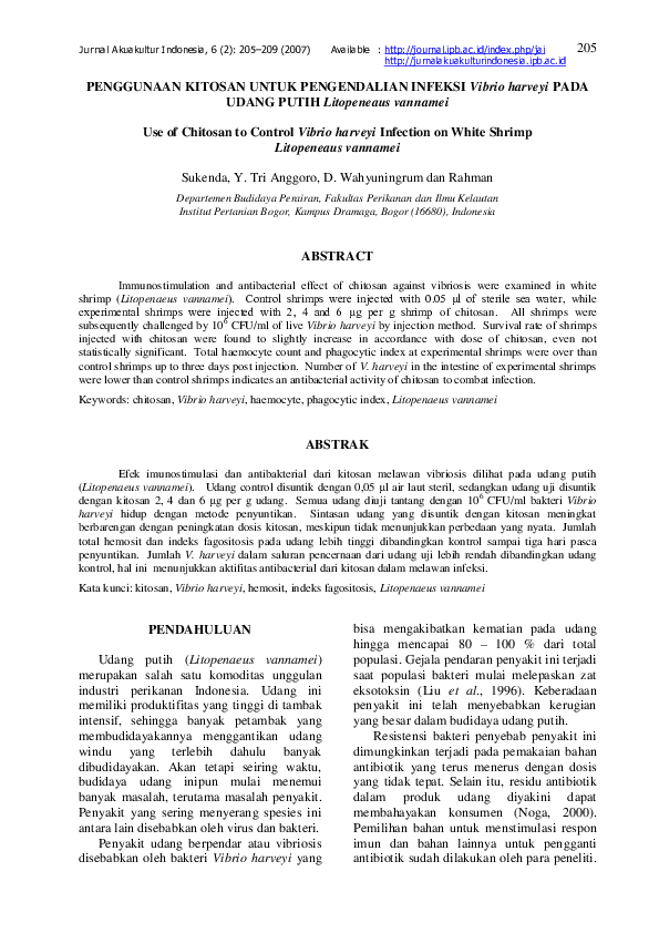 (PDF) PENGGUNAAN KITOSAN UNTUK PENGENDALIAN INFEKSI Vibrio harveyi PADA ...