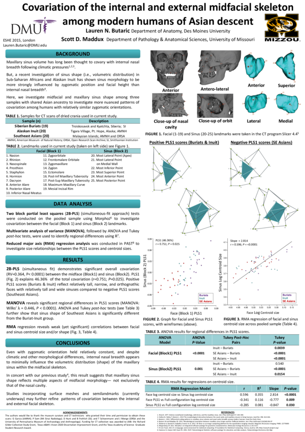 (PDF) Covariation of the internal and external midfacial skeleton among ...