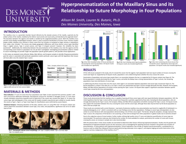 (PDF) Hyperpneumatization of the Maxillary Sinus and its Relationship ...
