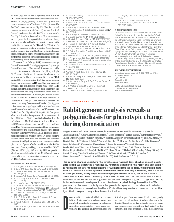 (PDF) Rabbit genome analysis reveals a polygenic basis for phenotypic change during domestication