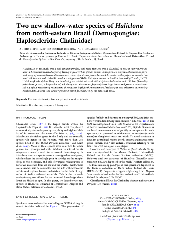 (PDF) Two new shallow-water species of Haliclona from north-eastern ...