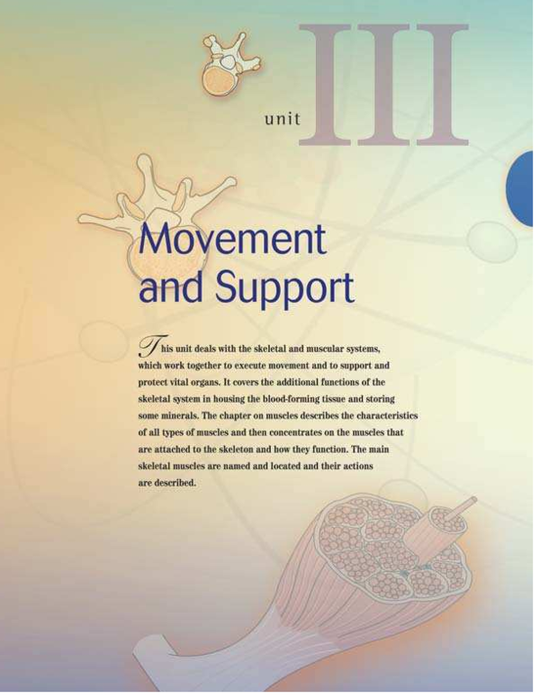 (PDF) THE SKELETON BONES AND JOINTS