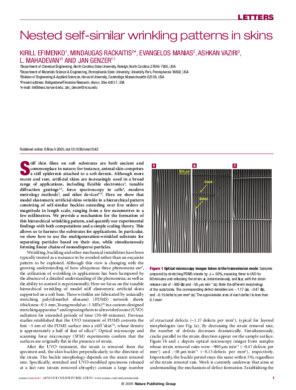 (PDF) Nested self-similar wrinkling patterns in skins