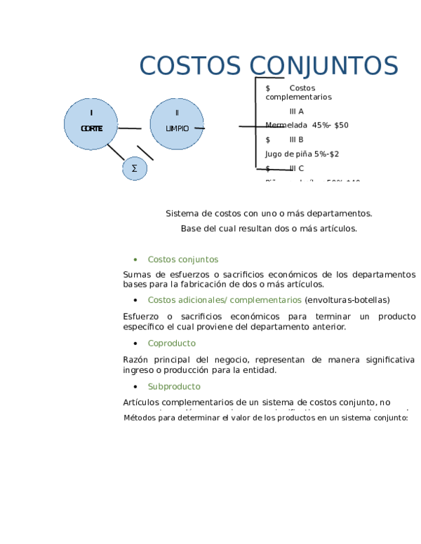 (DOC) Costos conjuntos