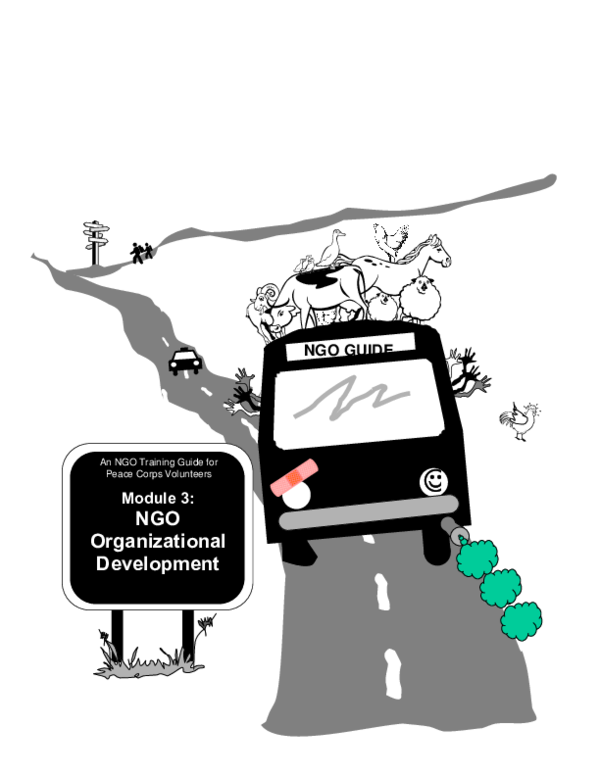 (PDF) Desarrollo de ONG - NGO development