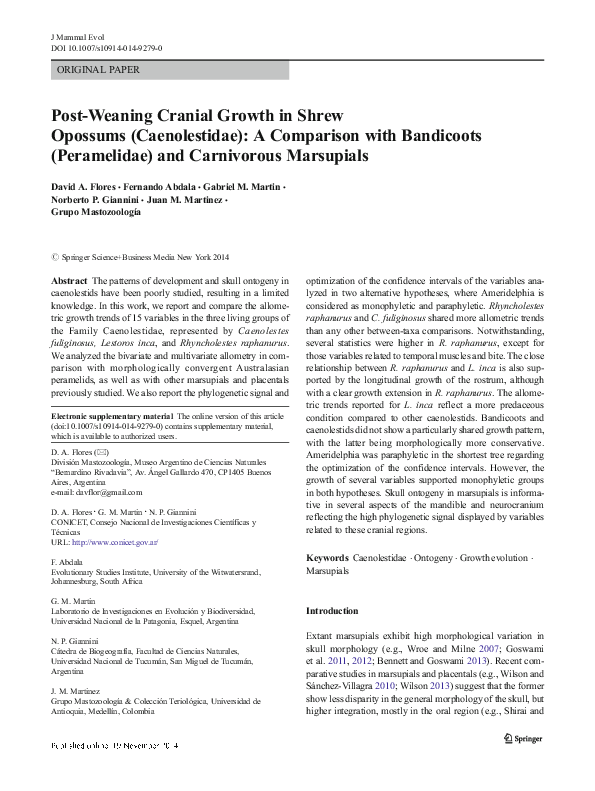 (PDF) Post-Weaning Cranial Growth in Shrew Opossums (Caenolestidae): A ...