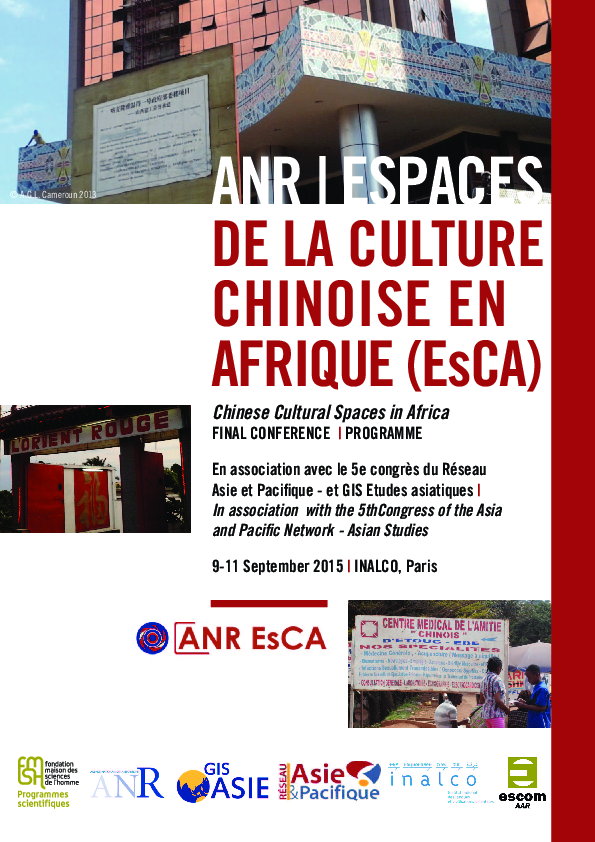 (PDF) Espaces de la culture chinoise en Afrique / Chinese cultural ...