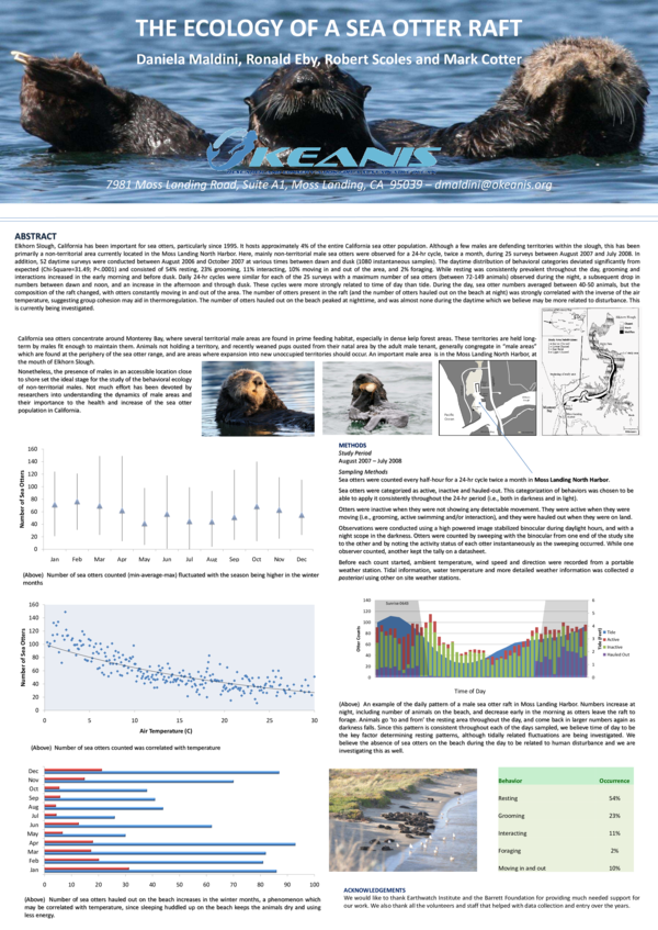 (PDF) THE ECOLOGY OF A SEA OTTER RAFT