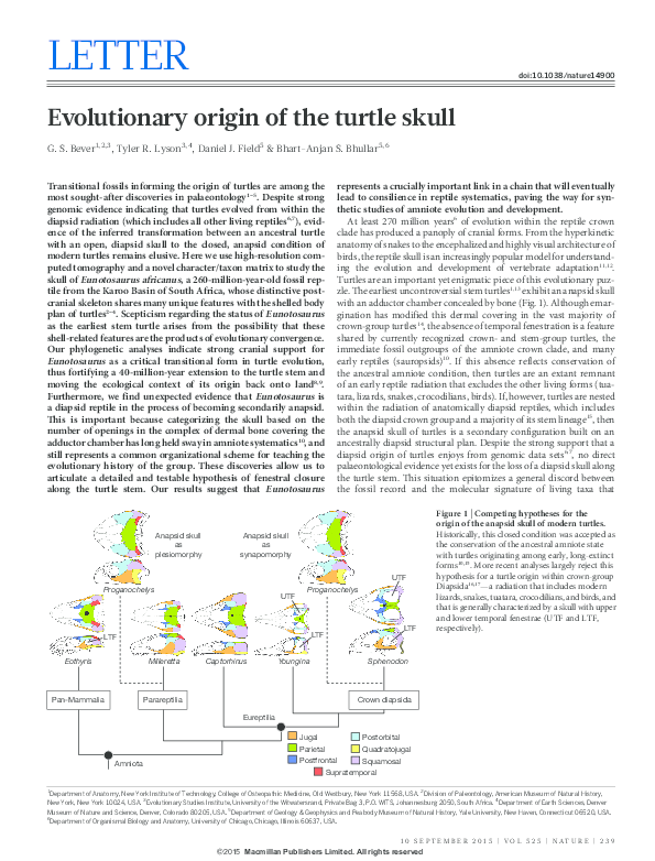 (PDF) Evolutionary Origin of the Turtle Skull