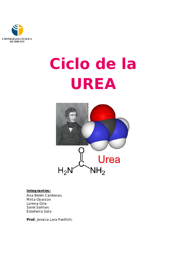 (DOC) Ciclo de la urea