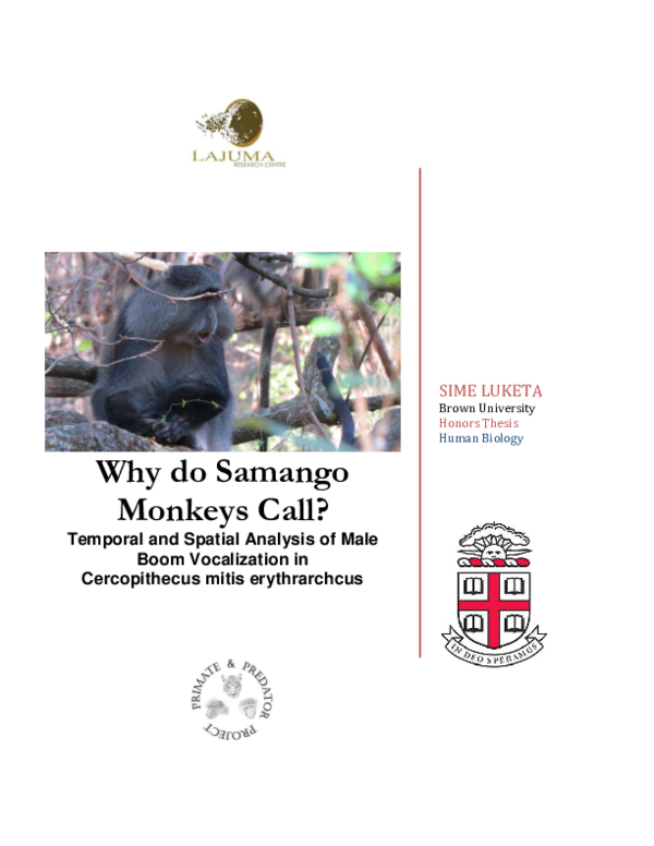 (PDF) Why do Samango Monkeys call? - Ecological and evolutionary ...