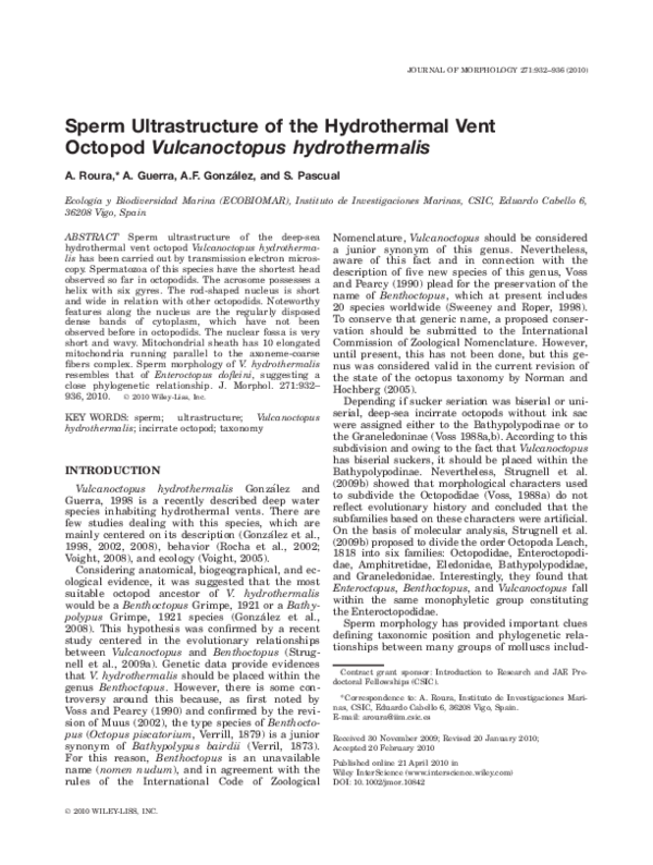 (PDF) Sperm Ultrastructure of the hydrothermal vent octopod ...