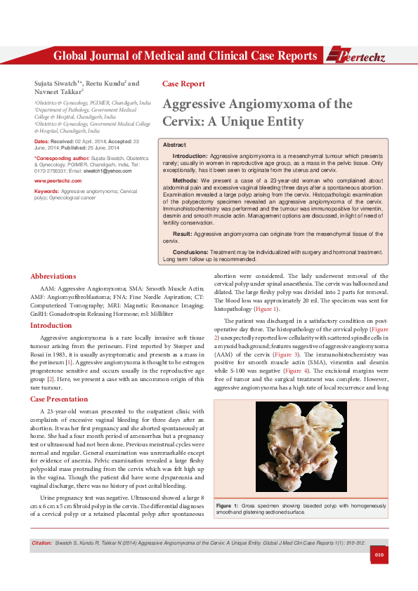 (PDF) Giant Deep Aggressive Angiomyxoma of The Vulva: A Rare Case ...