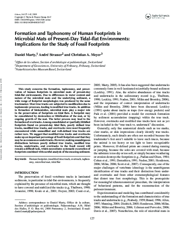 (PDF) Formation and taphonomy of human footprints in microbial mats of ...