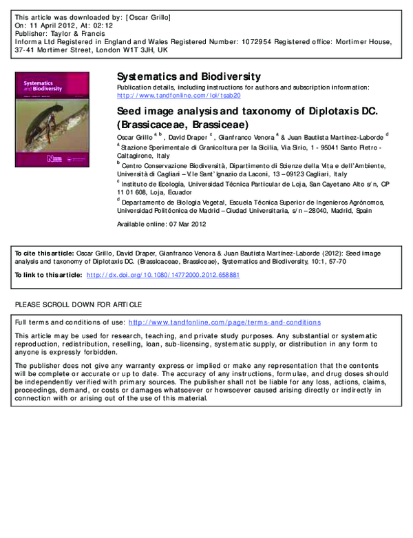 (PDF) Seed image analysis and taxonomy of Diplotaxis DC. (Brassicaceae ...