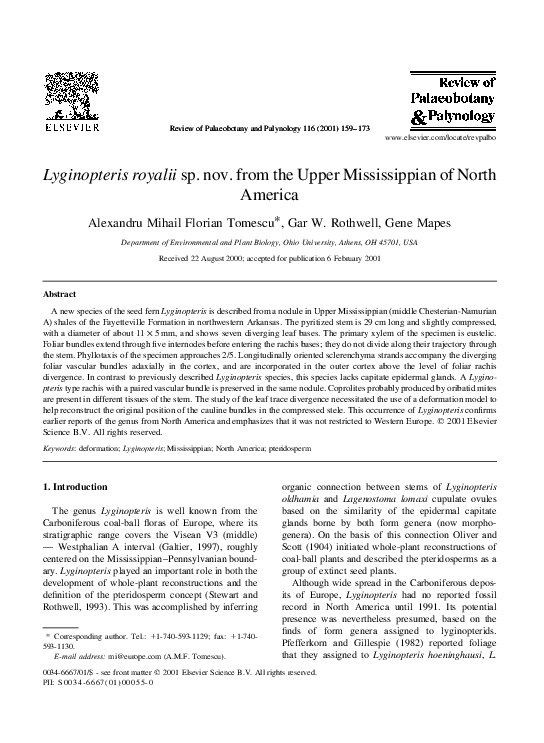 (PDF) Lyginopteris royalii sp. nov. from the Upper Mississippian of ...
